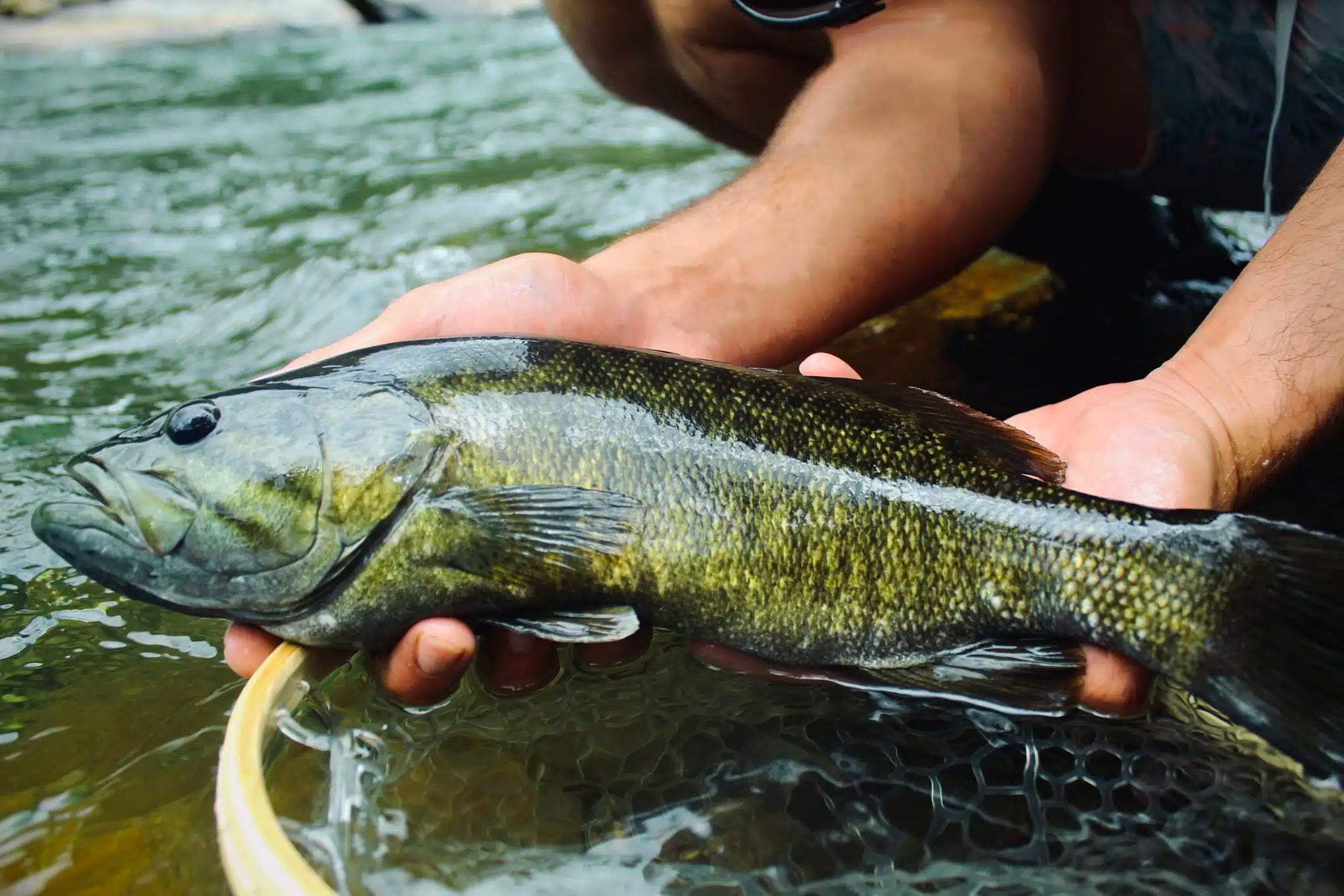 Cold Water Chatterbait Tips That Catch Bass When the Bite Slows ...