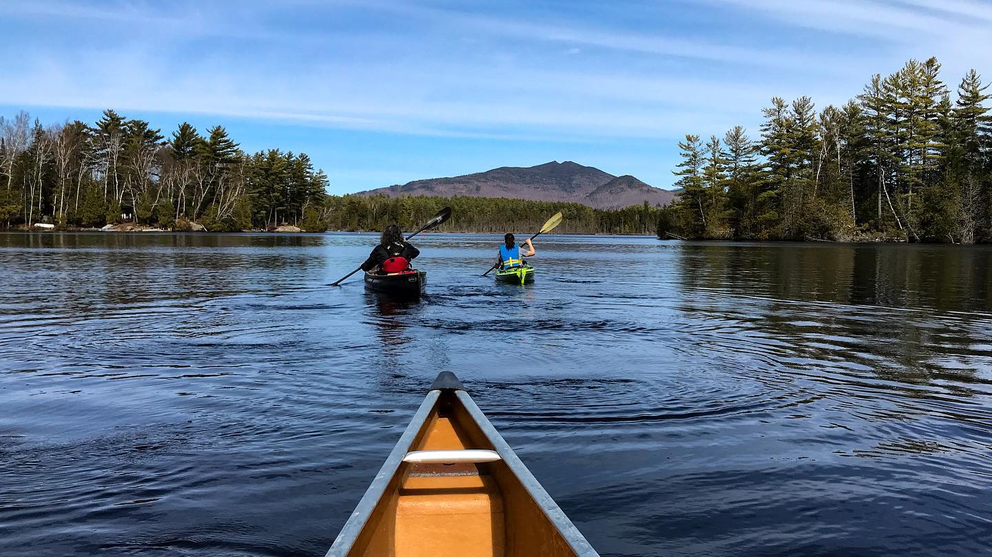 Too Much of a Good Thing? Managing the Overpopulation of Smallmouth Ba ...