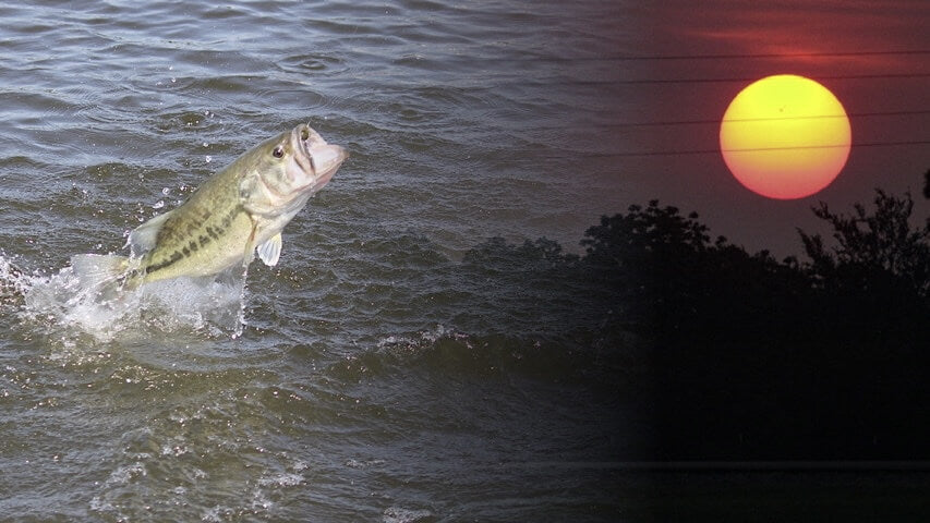 Solunar Calendars | Understanding how the Sun and Moon Effect Bass Pat ...