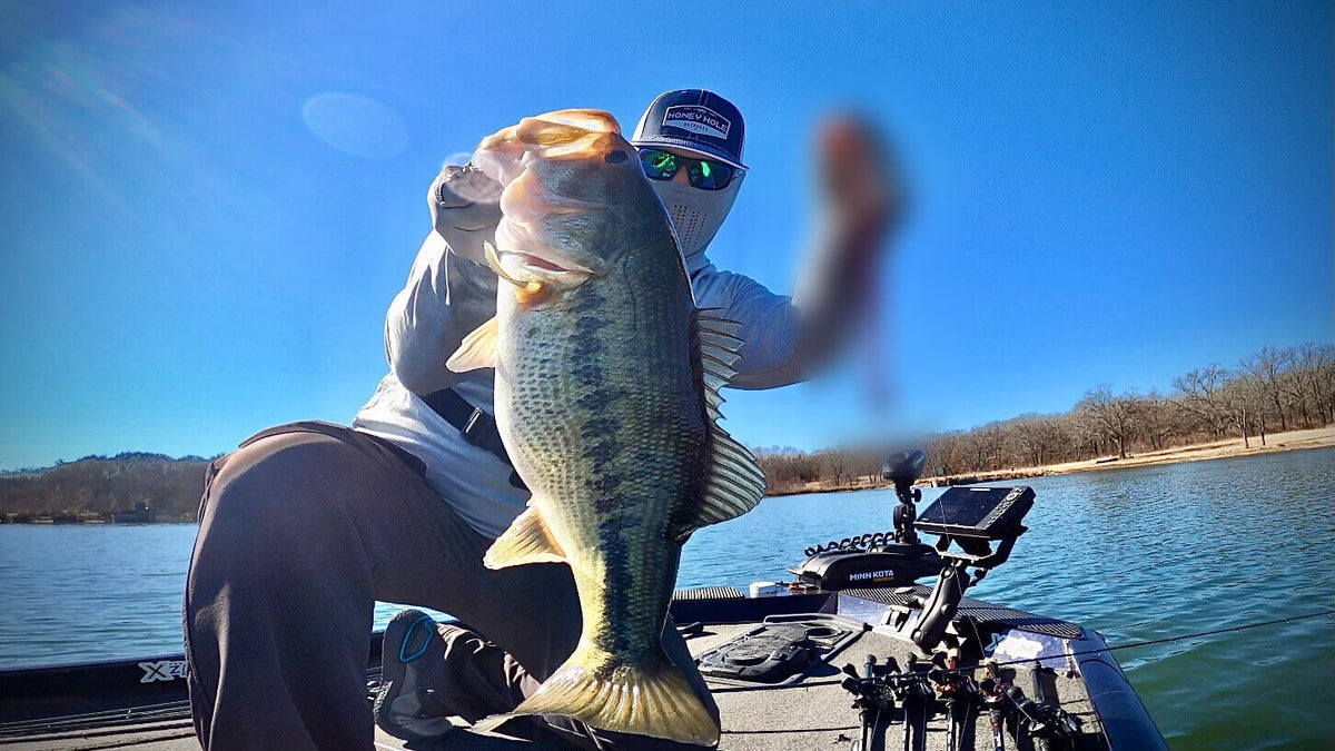 How To Catch BIG BASS Out Of BIG TREES – MONSTERBASS