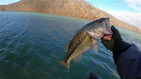 5 Cold Weather Tips | Winter Bass Fishing – MONSTERBASS