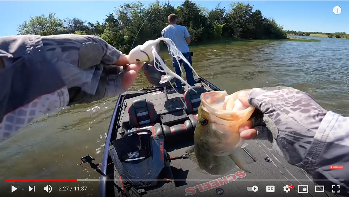 Try These FROG FISHING Tips To Land More Fish! – MONSTERBASS