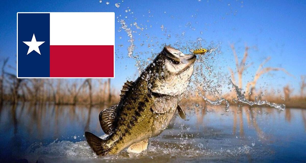 The Best Fishing Spots for Bass in Texas – MONSTERBASS