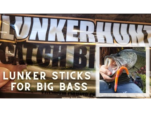 Ways to Rig a Stick Bait and Catch More Fish – MONSTERBASS