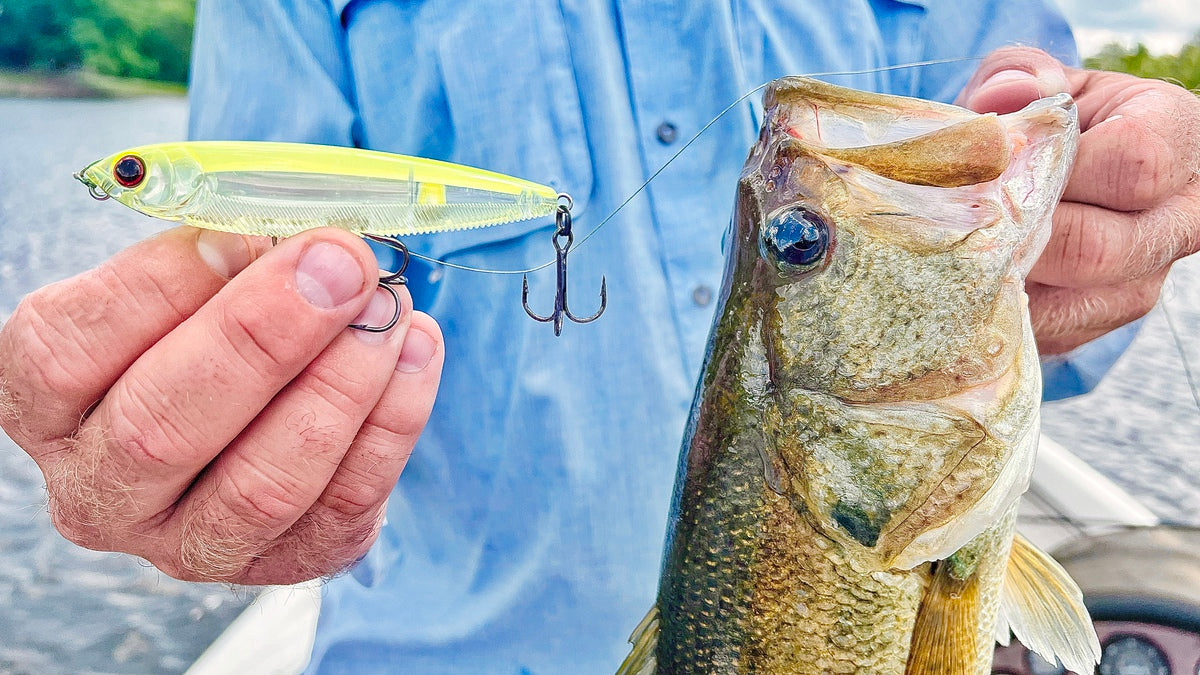 Walking Topwater Rundown – MONSTERBASS