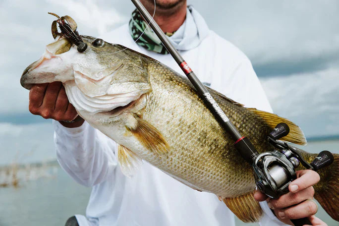 Favorite Fishing Rods Guide (2025): Reviews, Lineup & Buying Tips ...