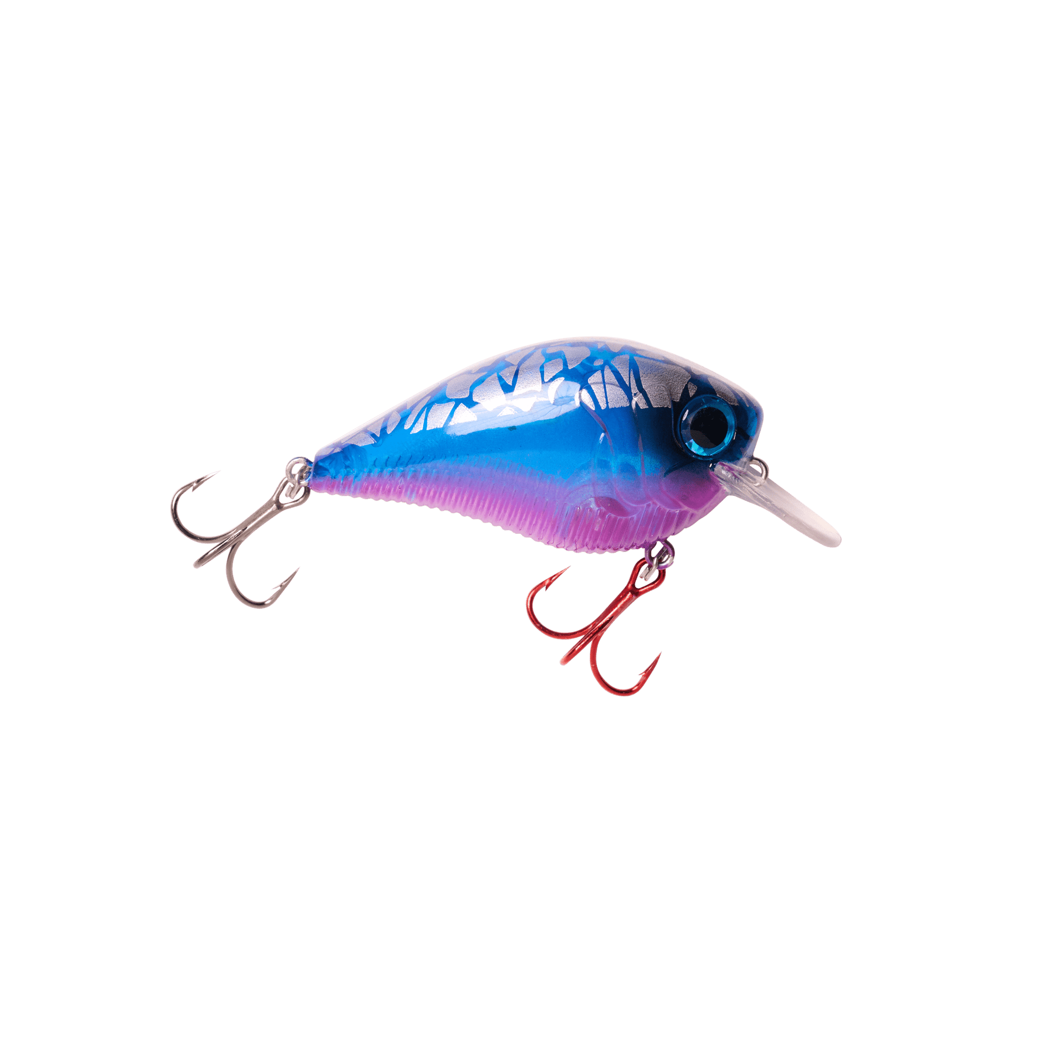 SquareBanger – MONSTERBASS