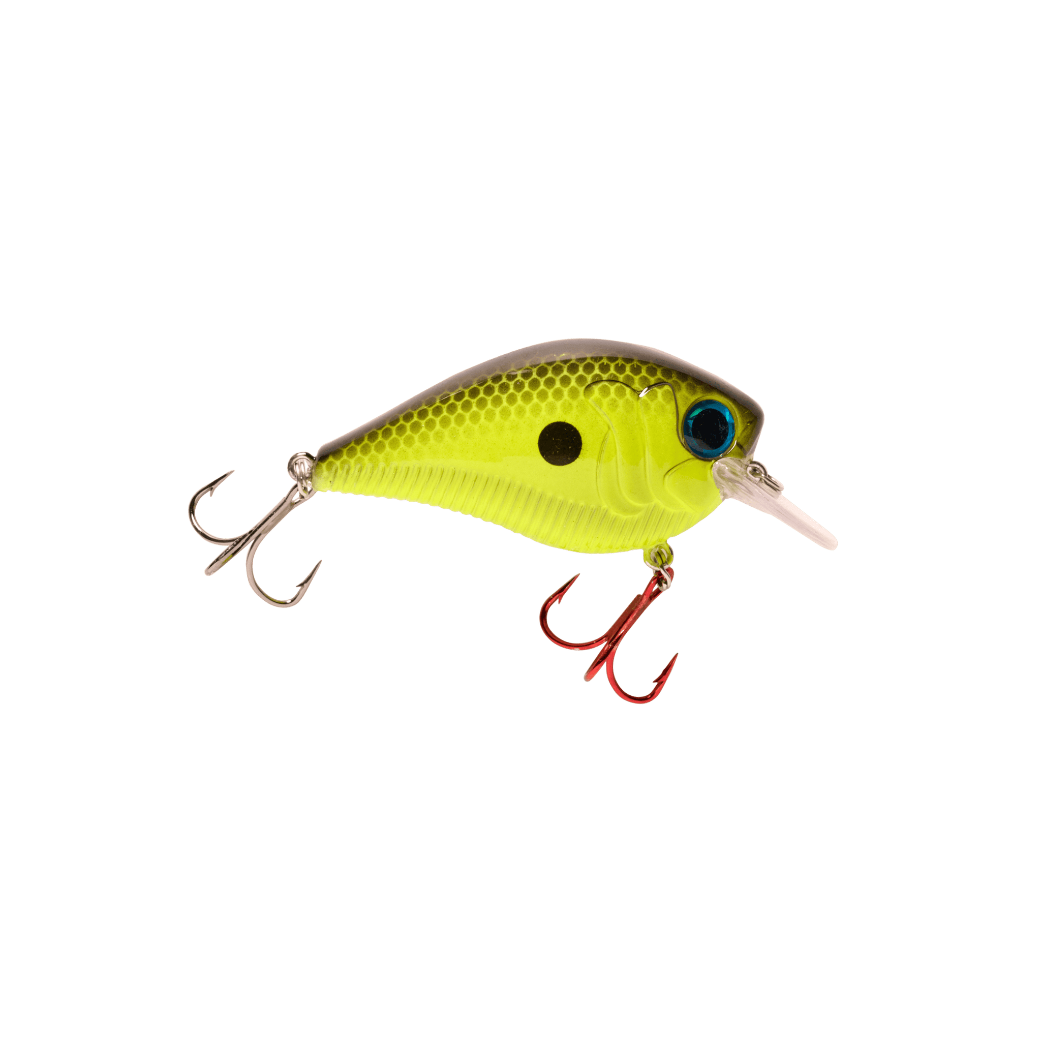 SquareBanger – MONSTERBASS