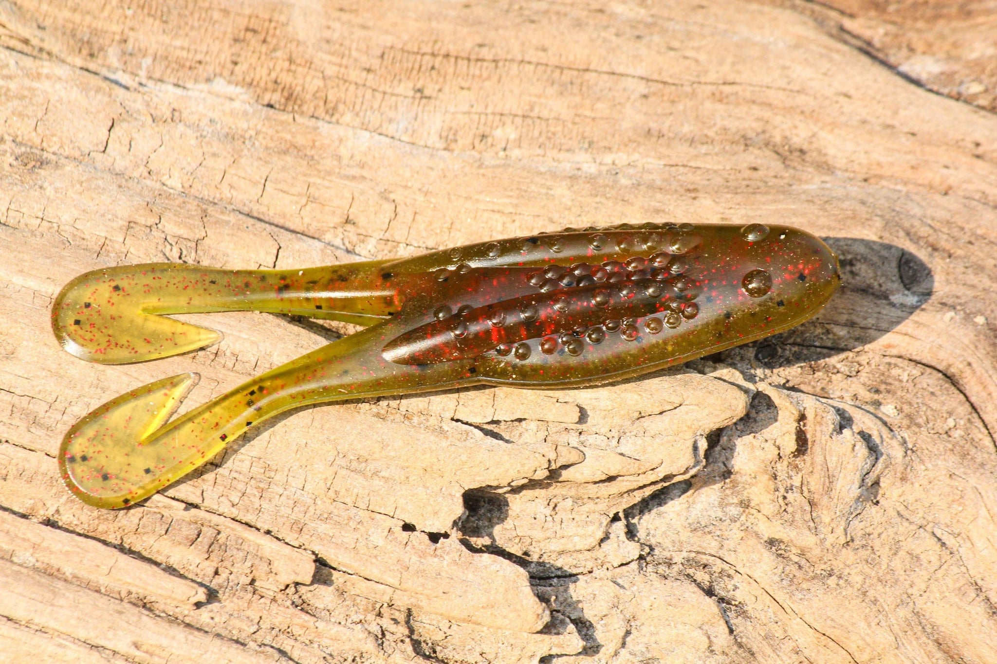 The Ultimate Frog & Toad Box – Handpicked by Shaye Baker! 🐸 – MONSTERBASS